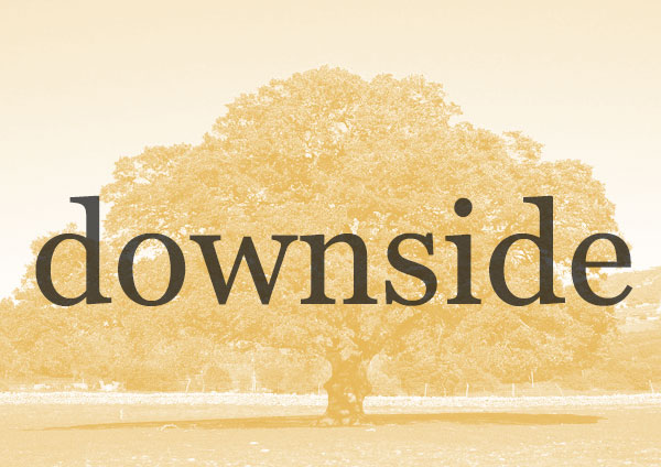 英単語 | 英語 | 社会人講座 | 東京先生